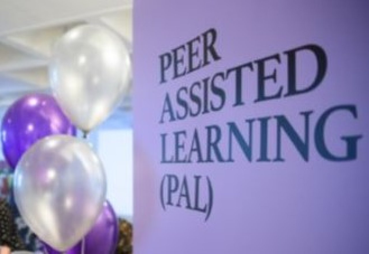 PAL Mentor Training Workbook